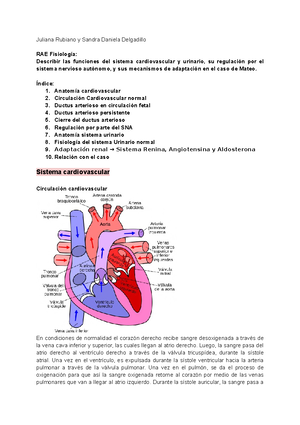 Stratify Falls Risk Assessment Escala - Medicina Familiar ...