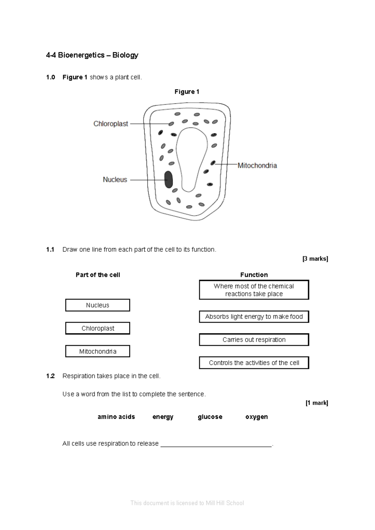 Biology Separate Bioenergetics - 4 - 4 Bioenergetics – Biology 1. 0 ...