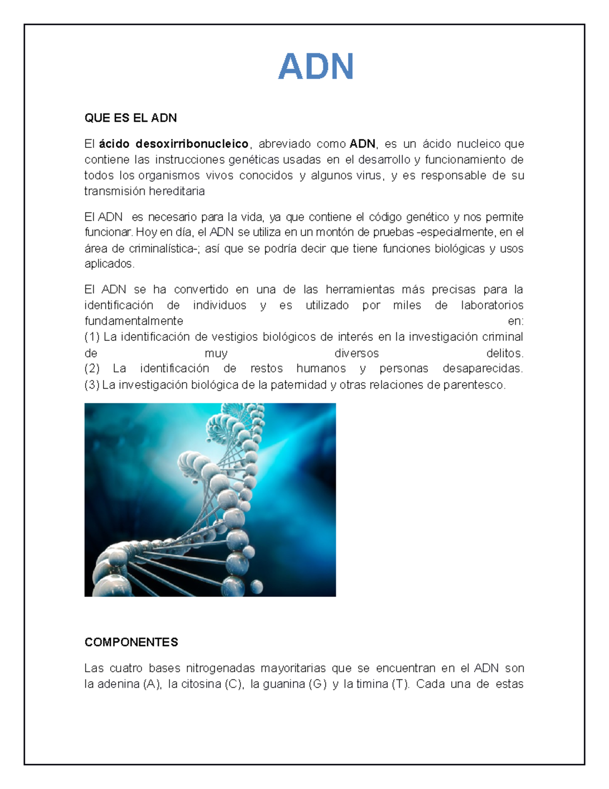 ADN - si les sirve chido - QUE ES EL ADN El ácido desoxirribonucleico ...