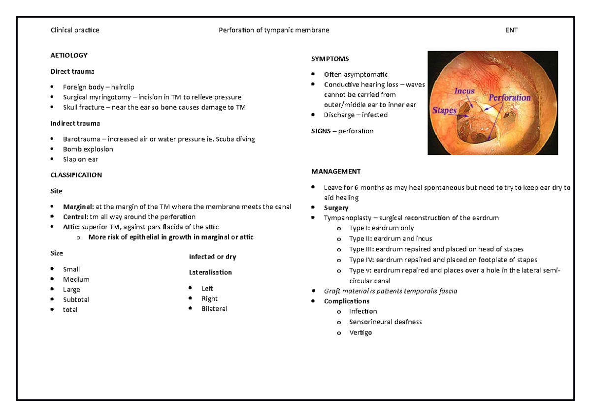 ENT: TM perforation - Clinical practice Perforation of tympanic ...
