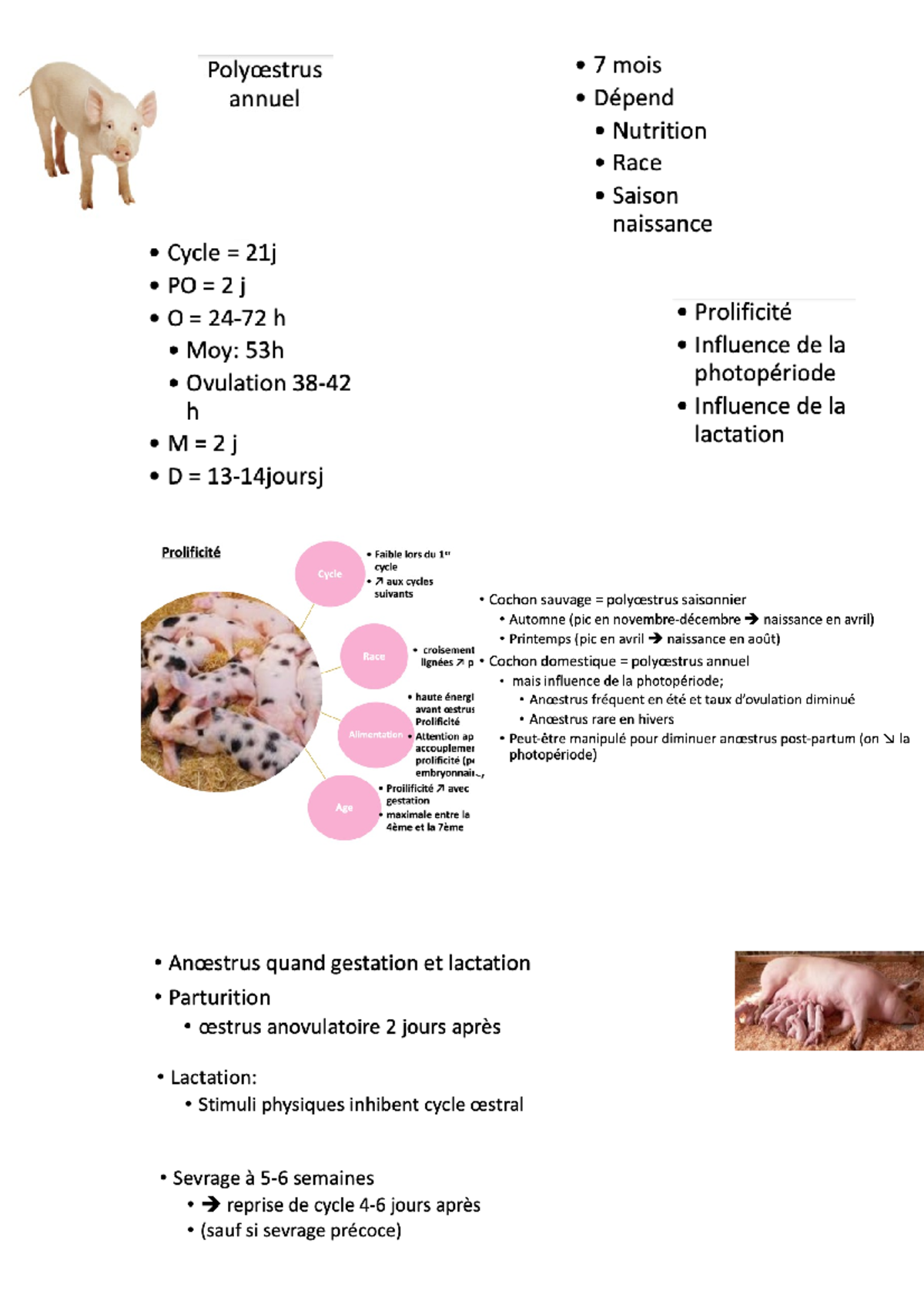 Cycle Truie - Fichier à annoter - Physiologie de la reproduction ...