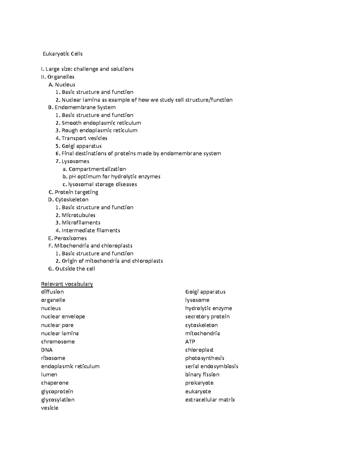 Cells outline - lecture notes - Eukaryotic Cells I. Large size ...