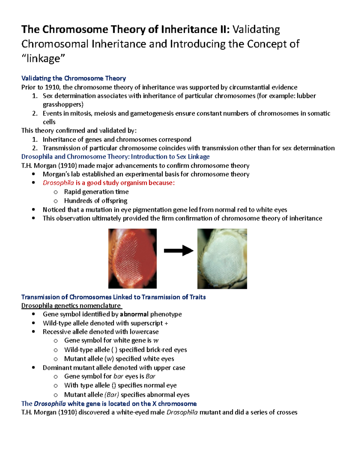 Genetics Study Guide Exam 2 - The Chromosome Theory of Inheritance II ...