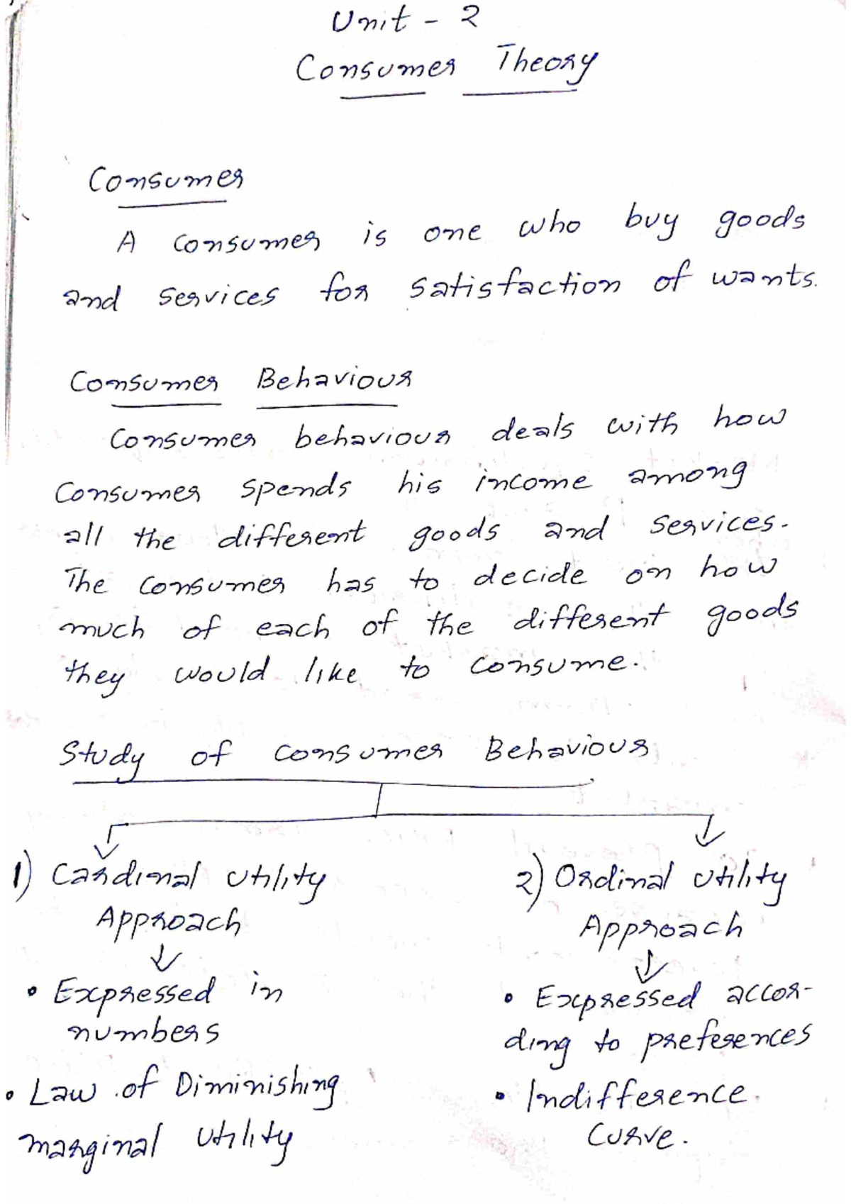 Consumer theory full notes - Bachlor of commerce - Studocu