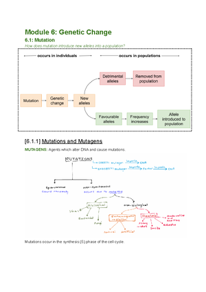 Biology - Mod 6 Notes - Mutations A mutation is a change in the genetic ...