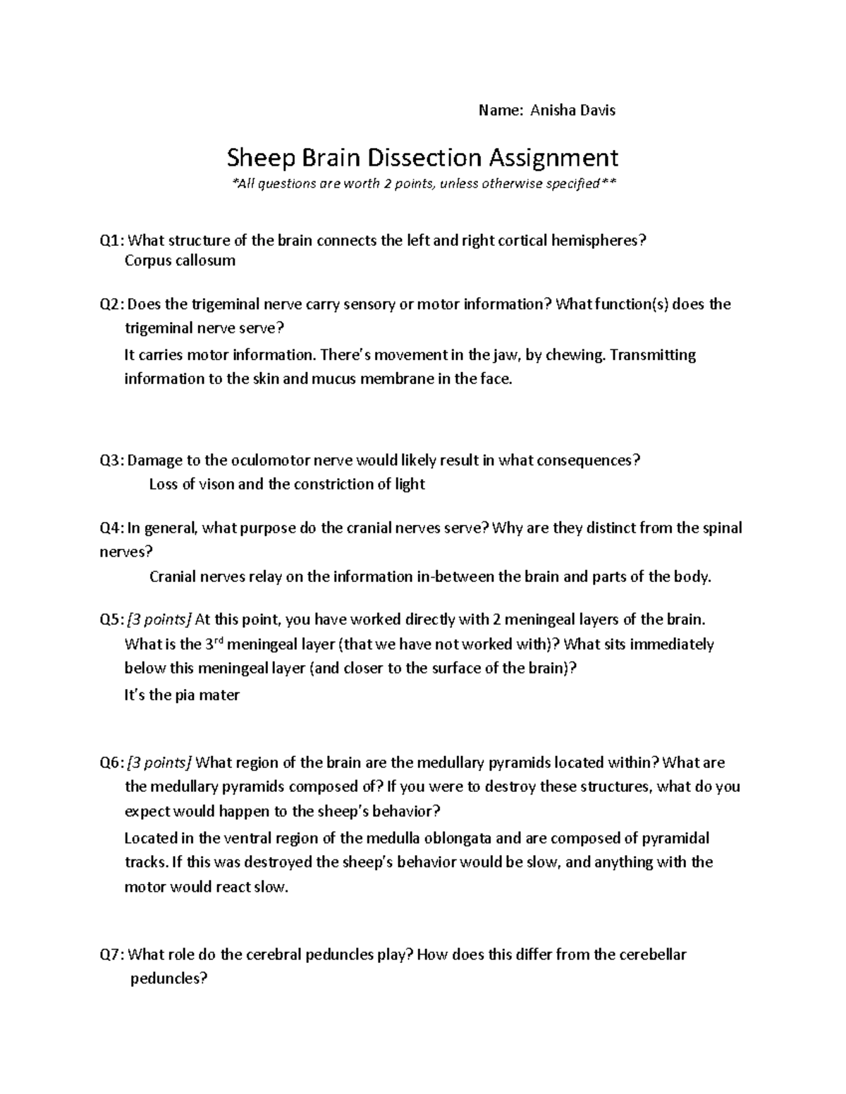 Sheep Brain Dissection Assignment - Name: Anisha Davis Sheep Brain ...