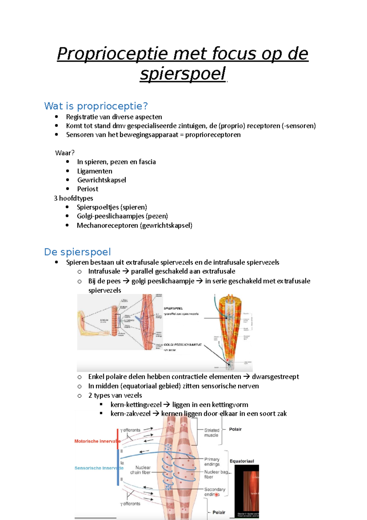 Hoofdstuk 10 Lundy-Ekman - Proprioceptie met focus op de spierspoel Wat ...