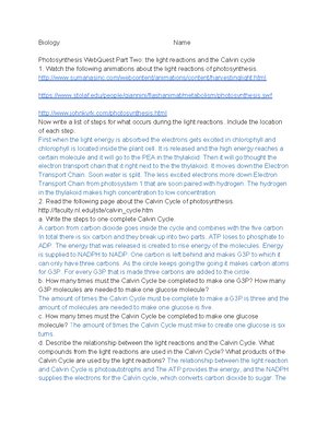Enzyme Gizmo Student Exploration - Student Guide: Enzymes - AP STEM ...