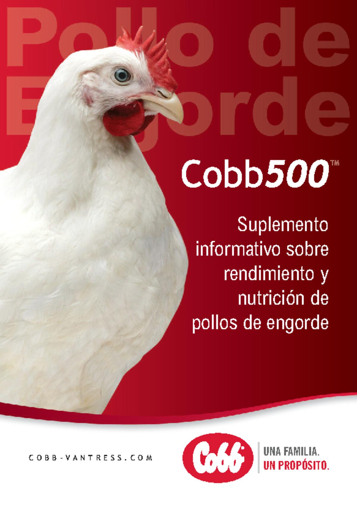 Pollo COBB 500 - AVICOLA - UNA FAMILIA. UN PROPÓSITO. C O B B - V A N T R E S S. C O M ...