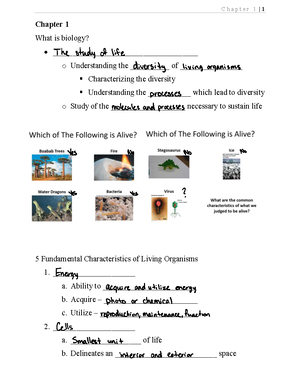 Chapter 4 Notes - Chapter 4 – Nucleic Acids Nucleic acids Macromolecule ...