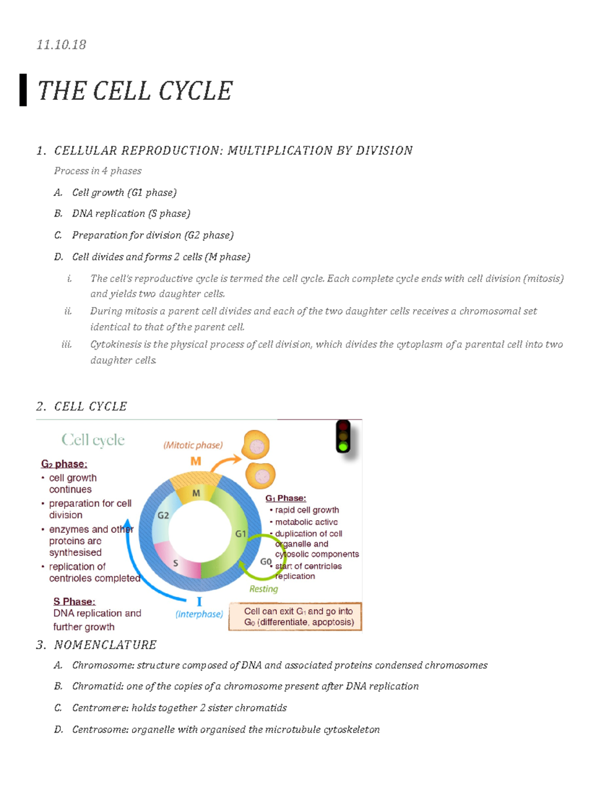The Cell Cycle and Signalling Note - 11. THE CELL CYCLE 1. CELLULAR ...