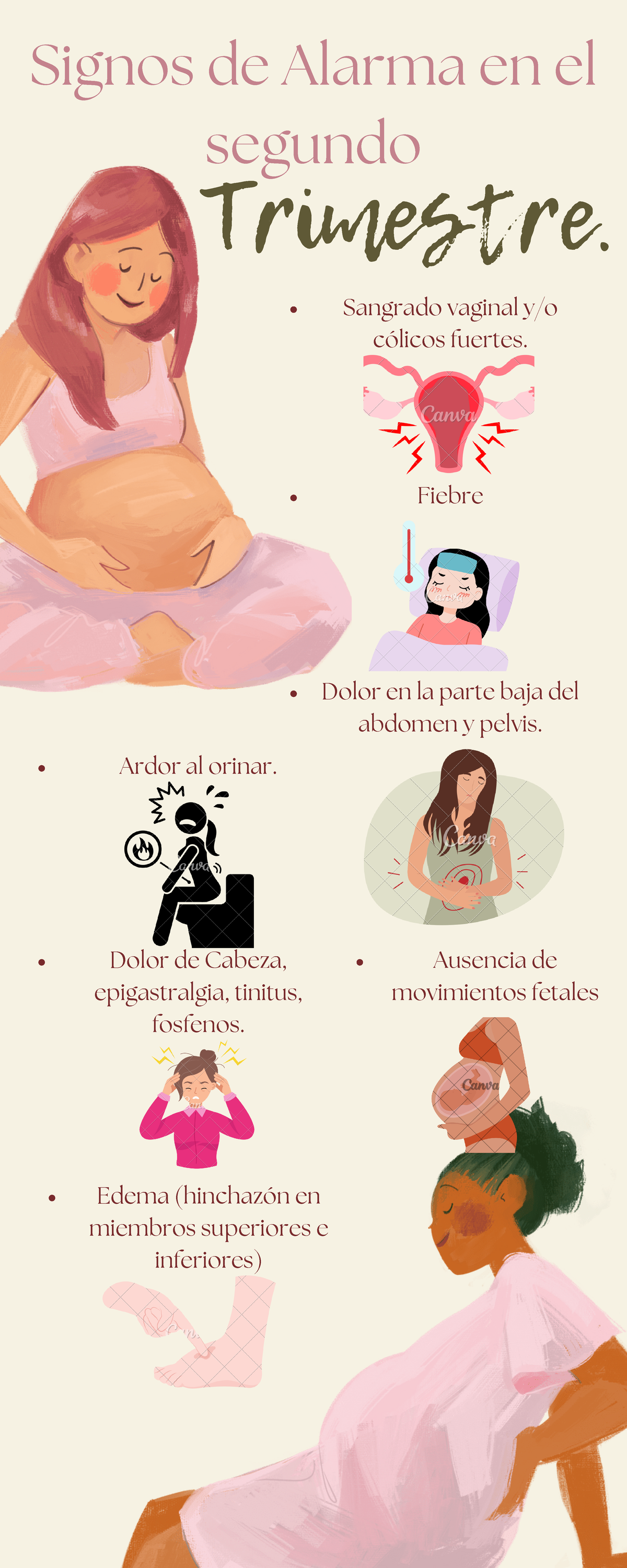 Infografía signos de embarazo ilustrado elegante sencillo rosa crema ...