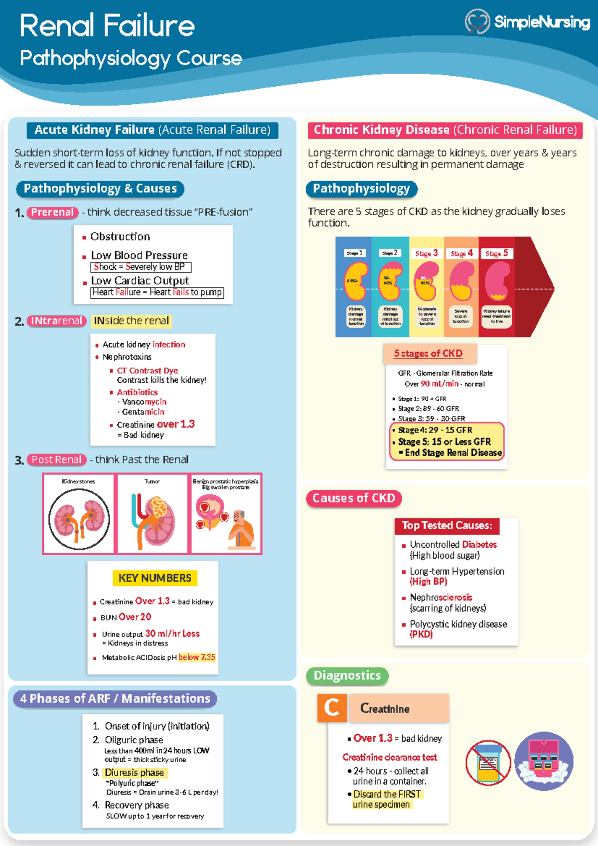 1. Renal Failure - Acute & Chronic - Renal Failure Pathophysiology ...