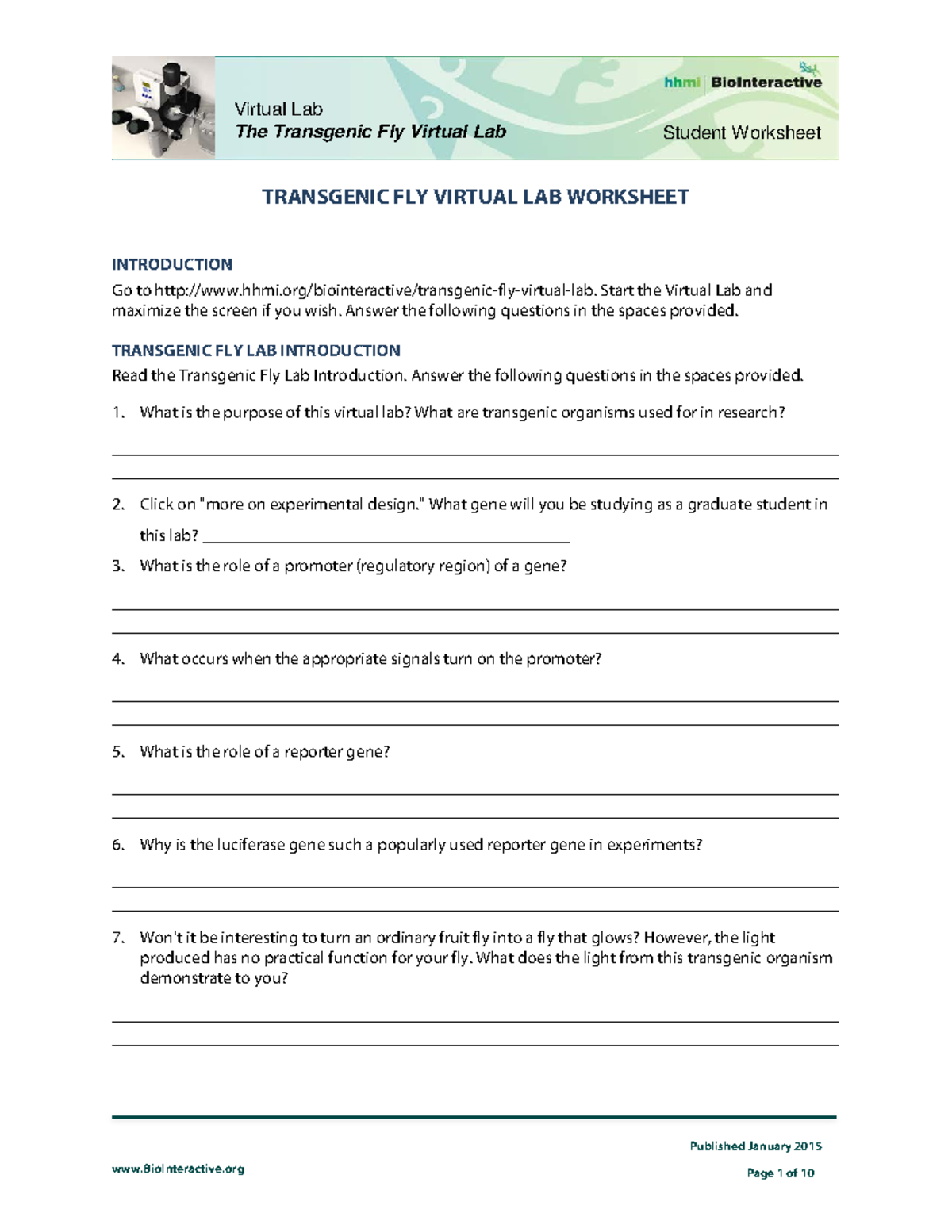 Transgenic Fly Lab Worksheet Student 1 - BioInteractive Published ...