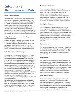 Anatomy Study Guide Exam 2 (Ch 17, 18, and 19) - Study Guide Exam 2 ...