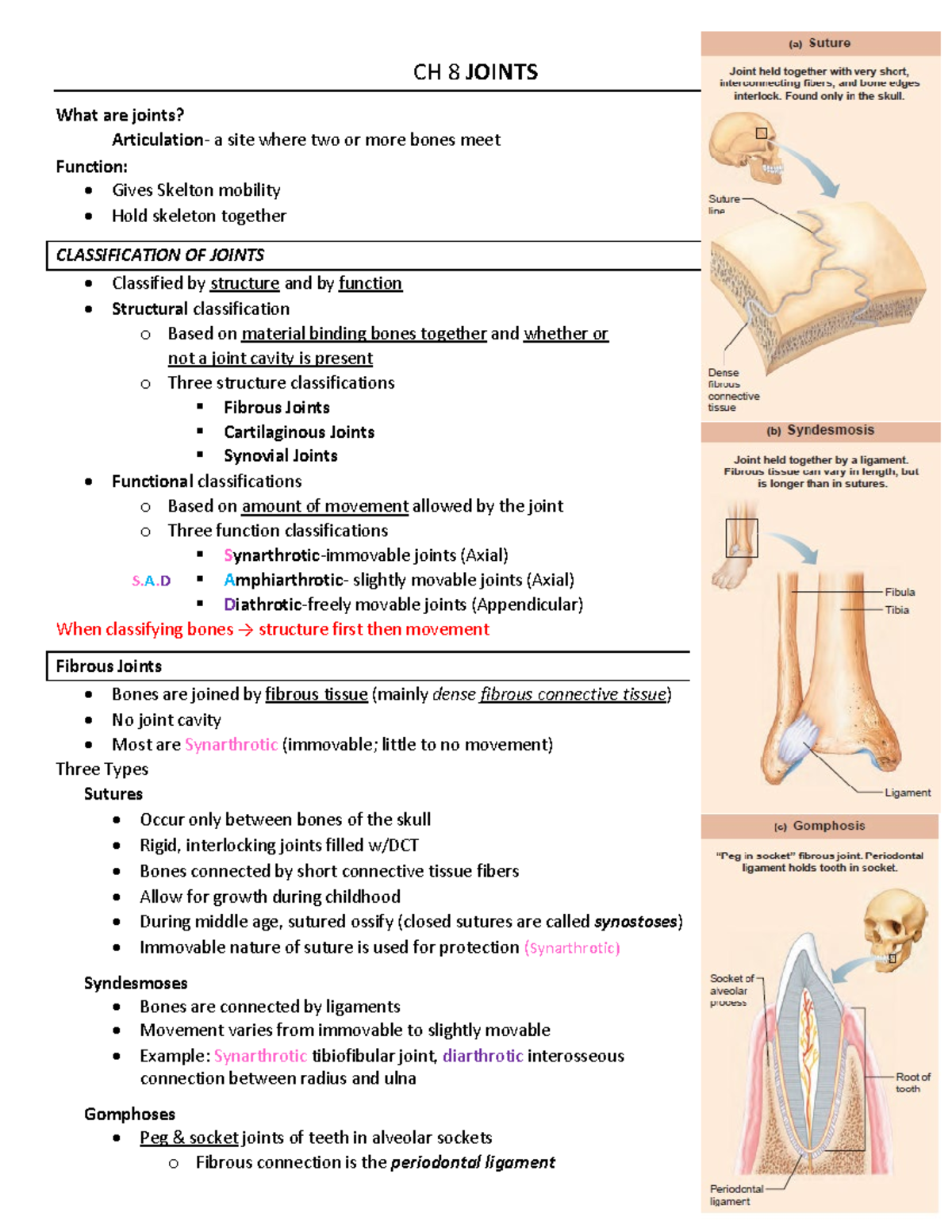 CH 8 Joints - Warning: TT: undefined function: 32 Warning: TT: undefined function: 32 CH 8 ...