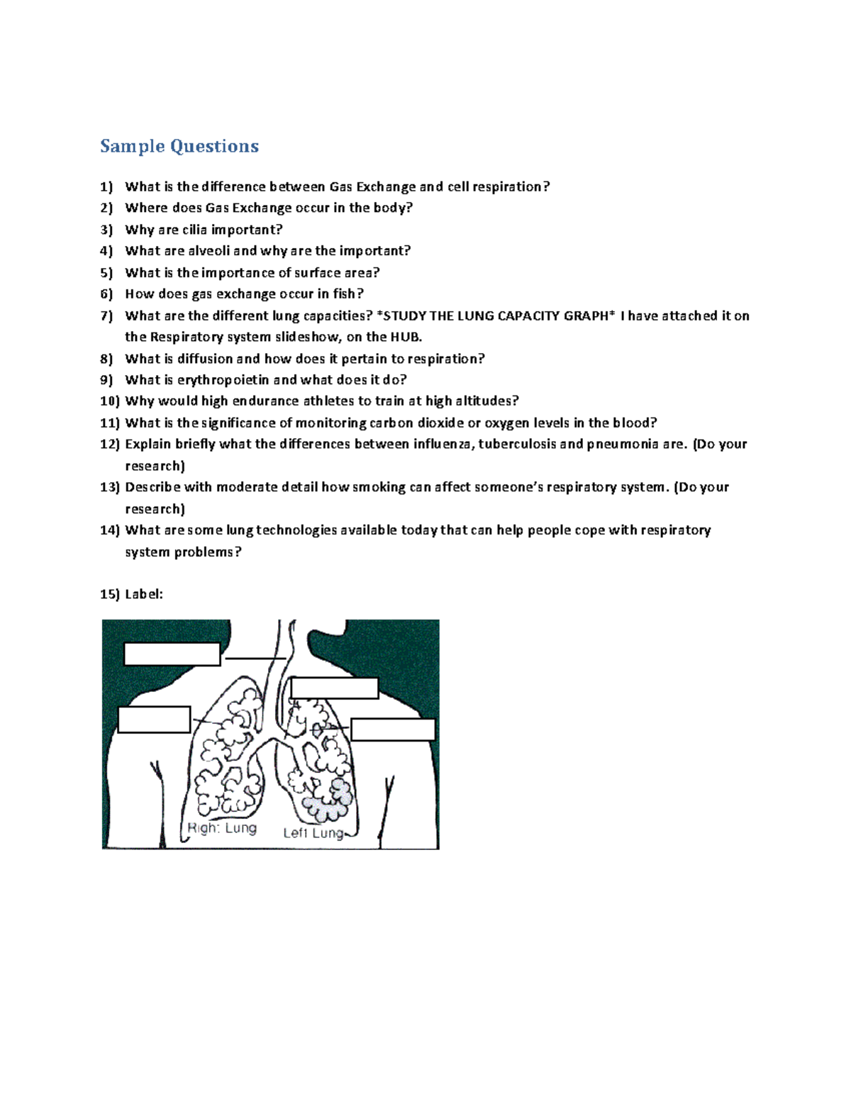 Sample Questions Respiratory (2) - Sample Questions What is the ...