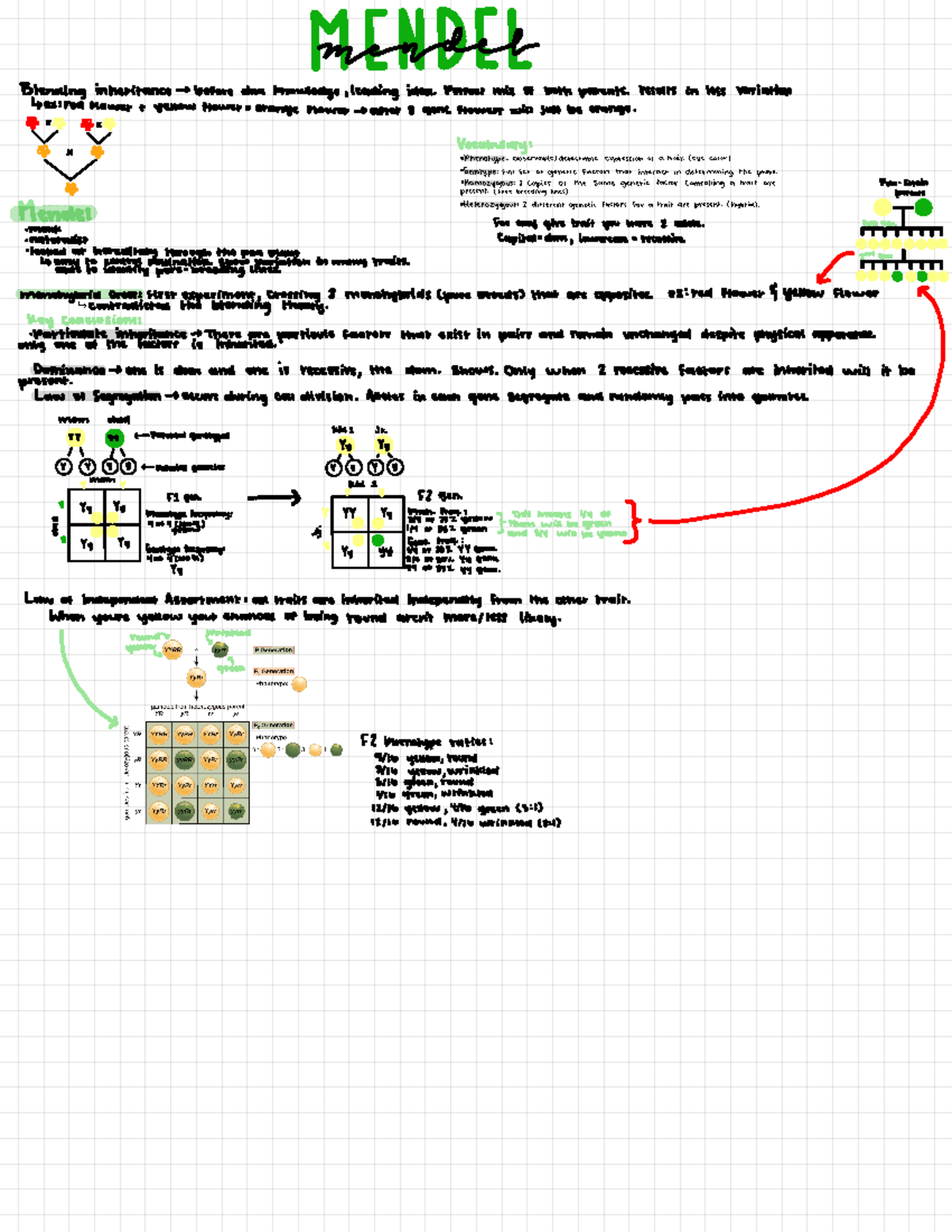 Mendel - Notes are taken from provided lecture videos, textbook, and ...
