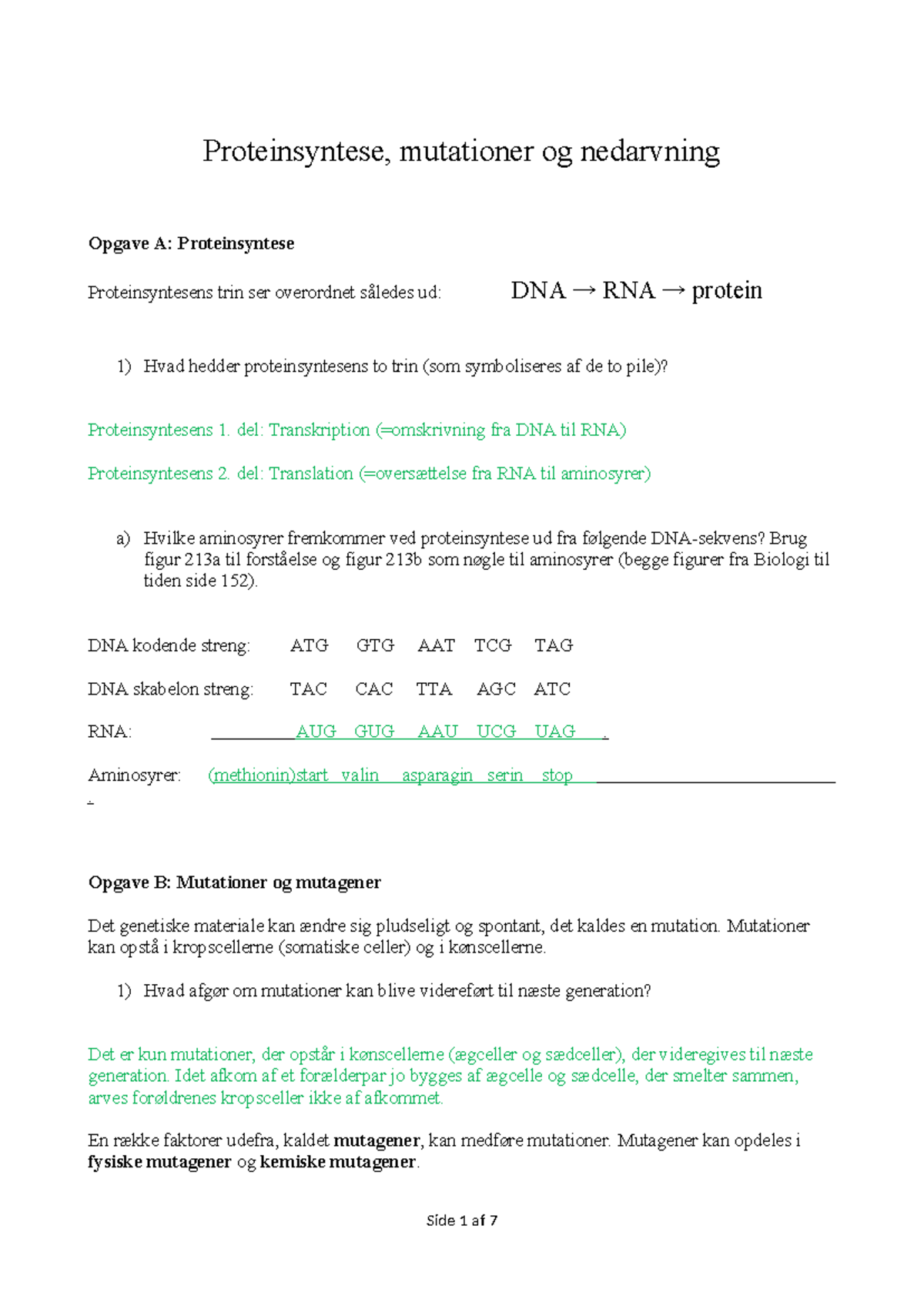 Retteark - genetikopgave- DNA og arvegang - Proteinsyntese, mutationer ...