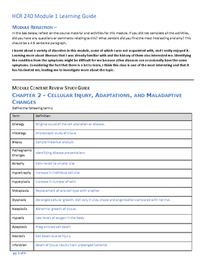 NUR211 Project Assessment-Recognizing Cues (4) (2) (1) (2) (3) (5) (2 ...