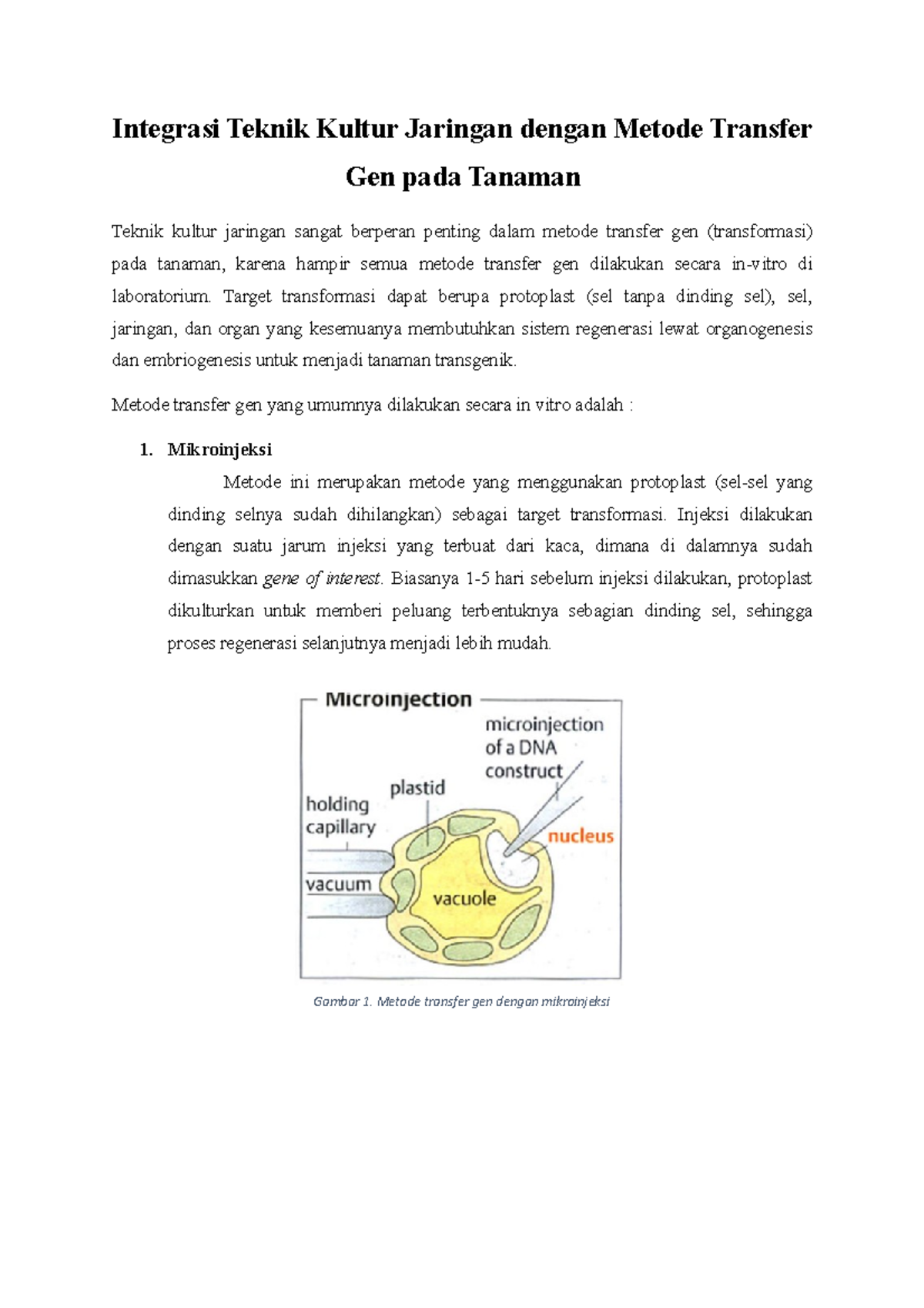 Integrasi Teknik Kultur Jaringan dengan Metode Transfer Gen pada Tanaman - Integrasi Teknik ...