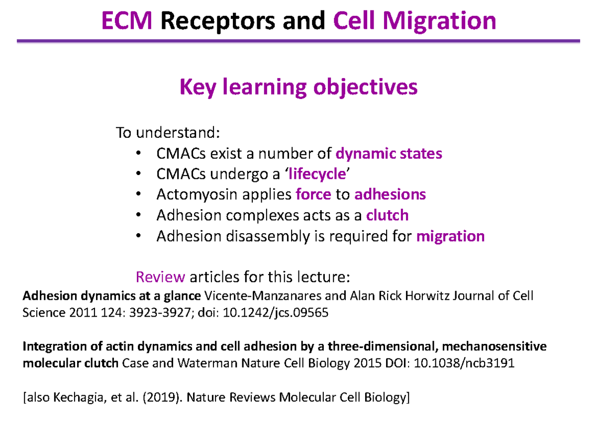 Yum - leture - ECM Receptors and Cell Migration Key learning objectives ...