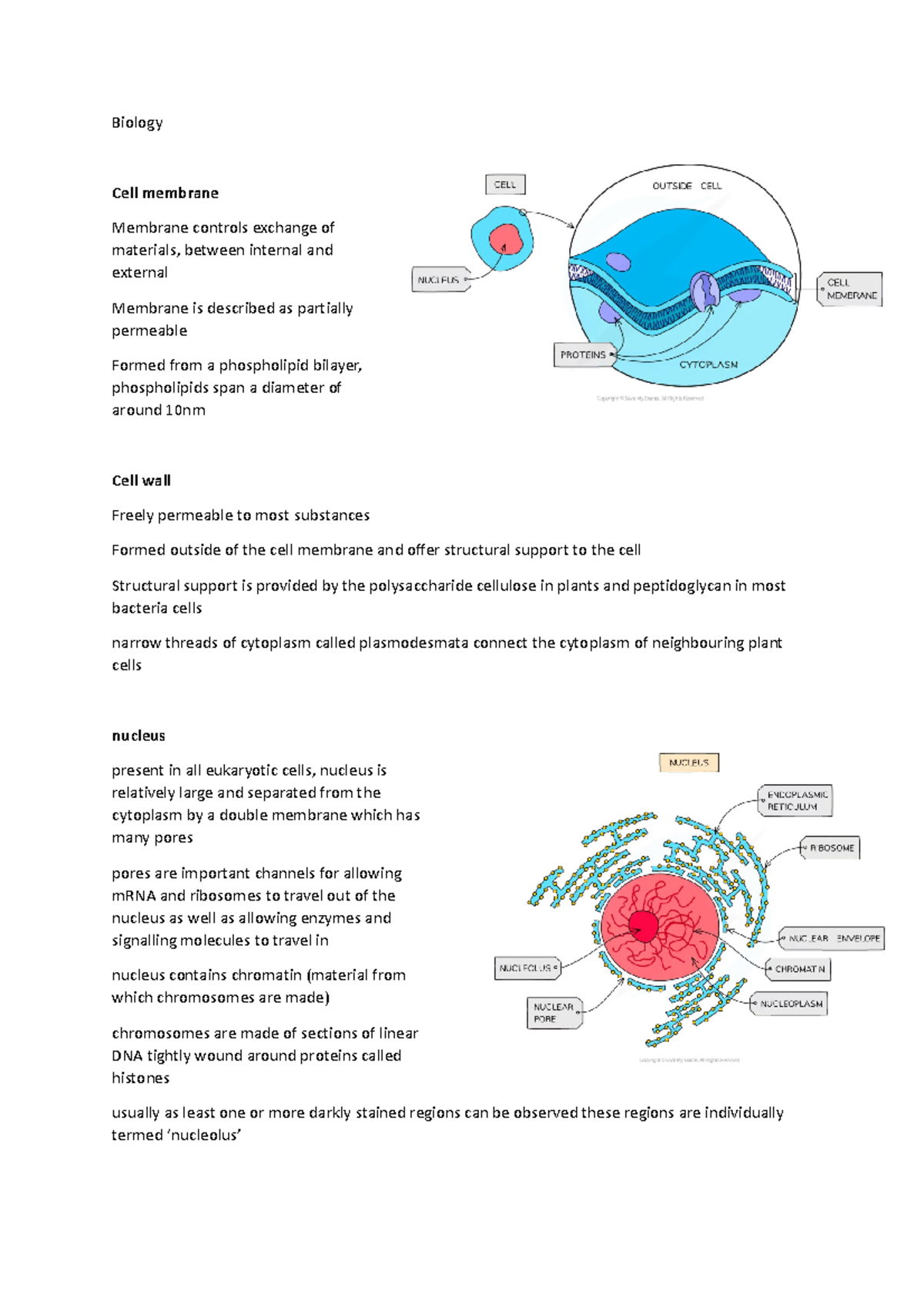 Cells the beginning - Biology Cell membrane Membrane controls exchange ...