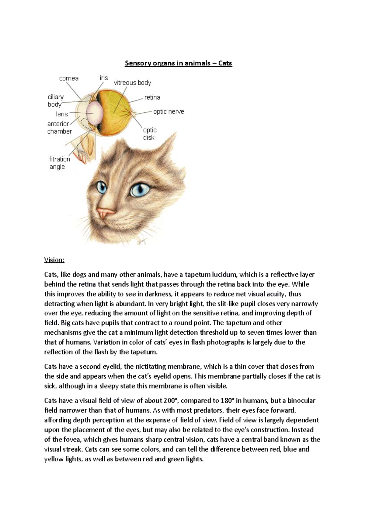 Sensory organs in animal 1 - While this improves the ability to see in ...