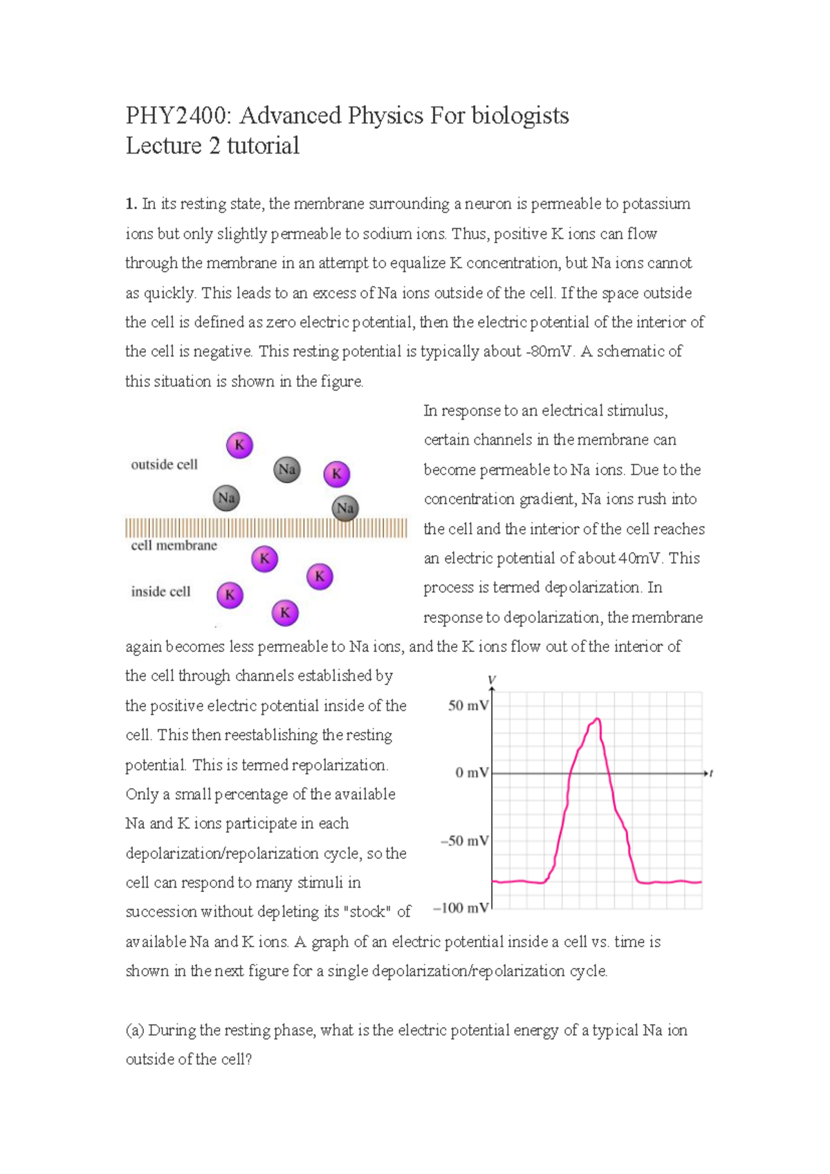 Tutorial 2 - Questions and answer - PHY2400: Advanced Physics For biologists Lecture 2 tutorial ...