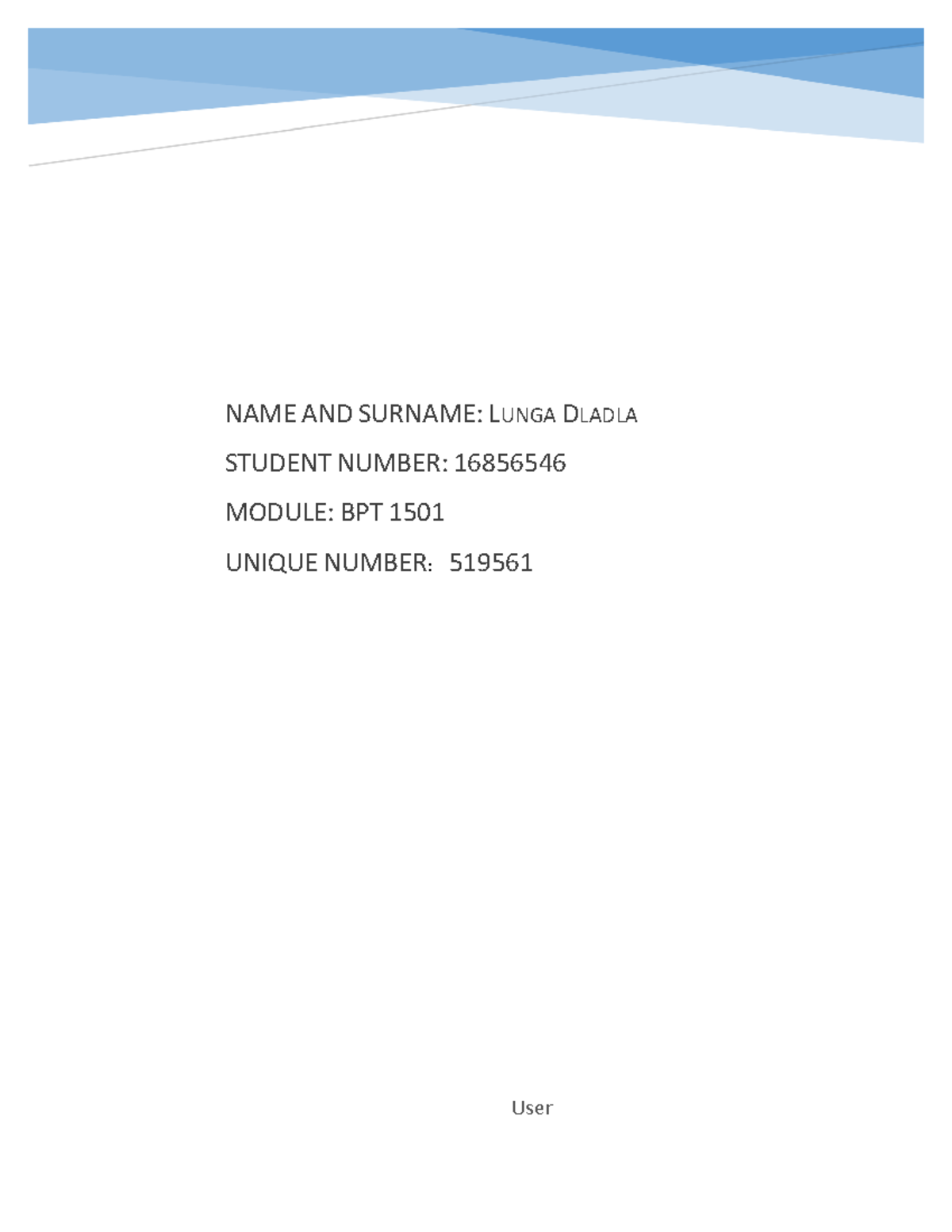 Assessment 4 BPT 1501 - unmarked - NAME AND SURNAME: LUNGA DLADLA ...