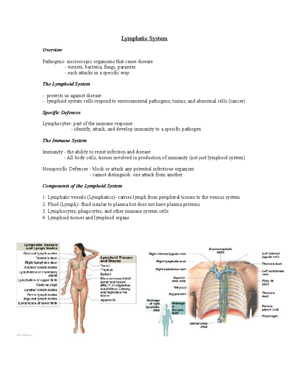 Lymphatic System - Lymphatic System Overview Pathogens- microscopic ...