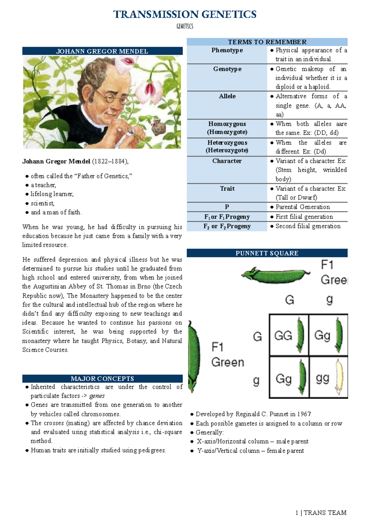 Module 3- Transmission Genetics - GENETICS JOHANN GREGOR MENDEL Johann ...