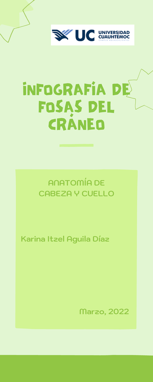 Artrología - ATM, disco articular, cóndilo, clasificaciones, ligamentos ...