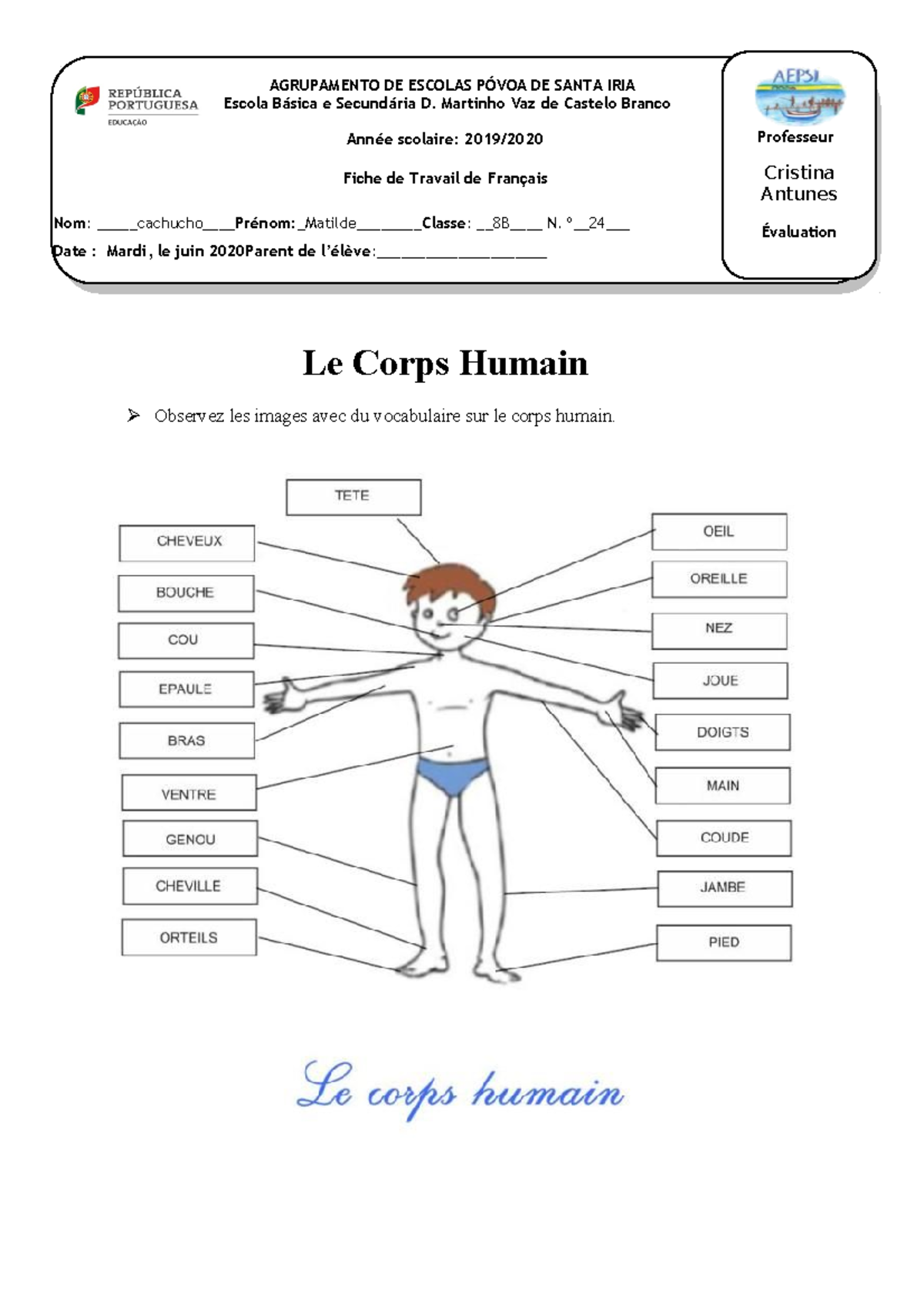 Fiche de Travail - Corps Humain - AGRUPAMENTO DE ESCOLAS PÓVOA DE SANTA ...