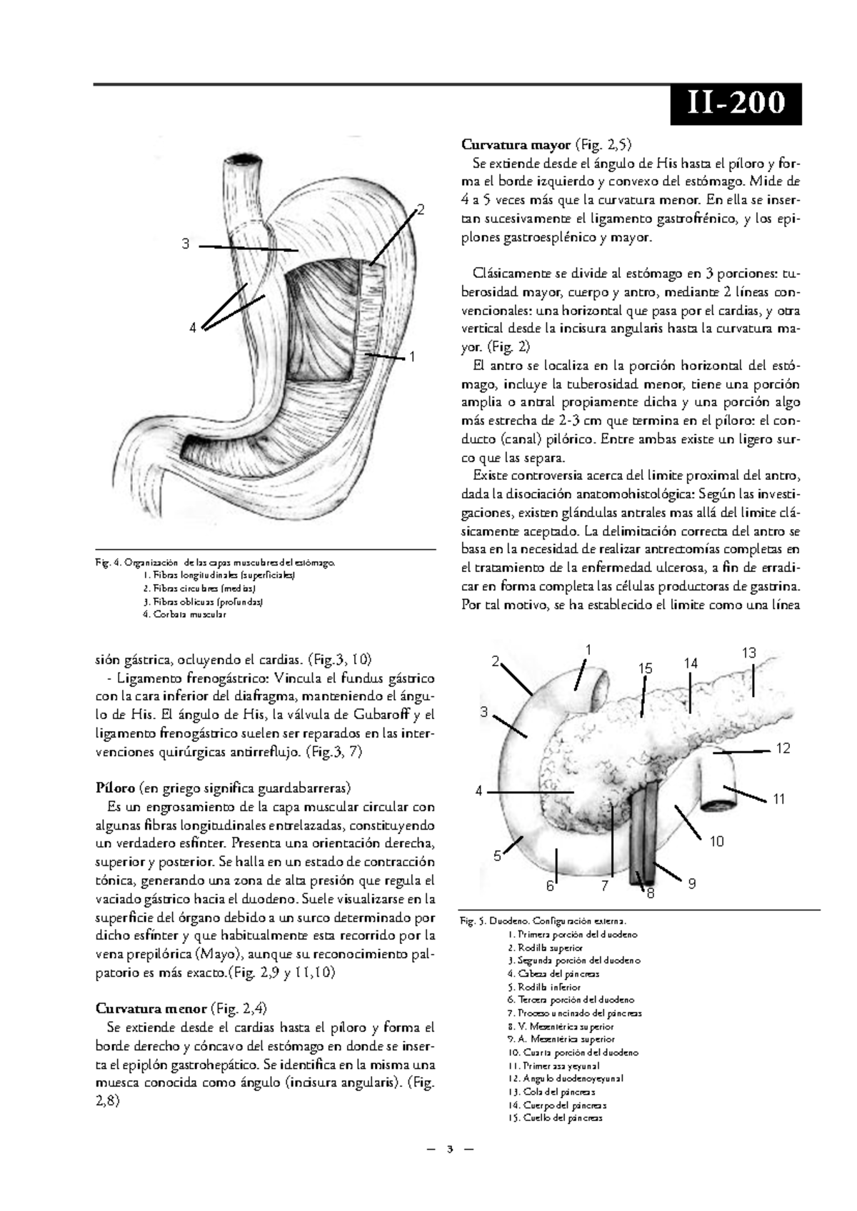 Dcero - Estómago - sión gástrica, ocluyendo el cardias. (Fig. 3 , 10 ...