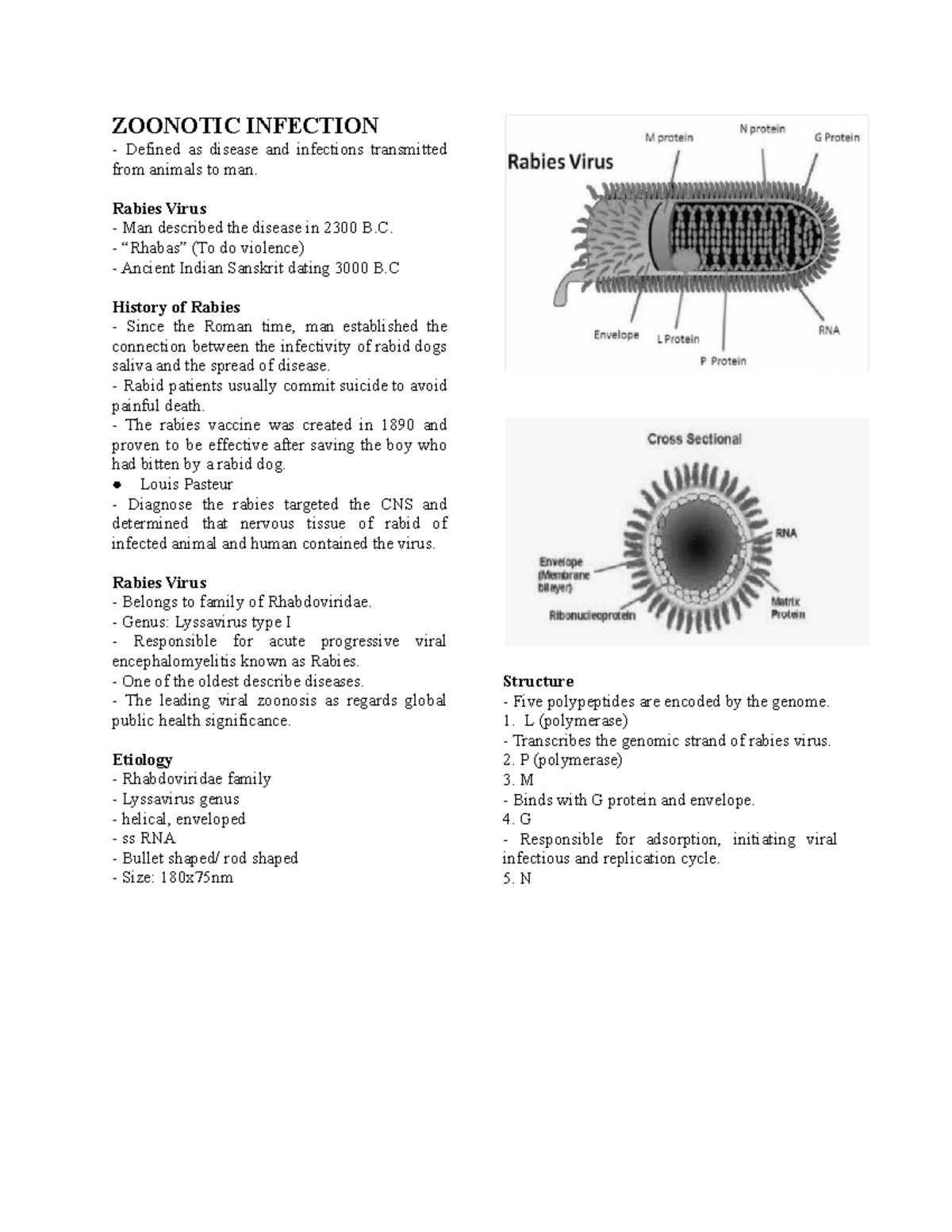 Zoonotic Infection - ZOONOTIC INFECTION Defined as disease and ...