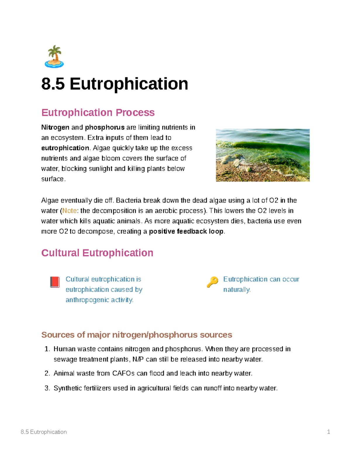 Eutrophication - Professor: Dan Nabokov - 8 Eutrophication 1 Í 8 ...