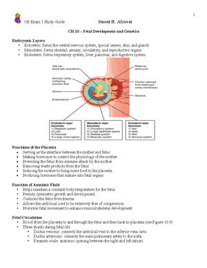 Jackson Weber VSIM - Clinical assignment - CONCEPT MAP WORKSHEET ...
