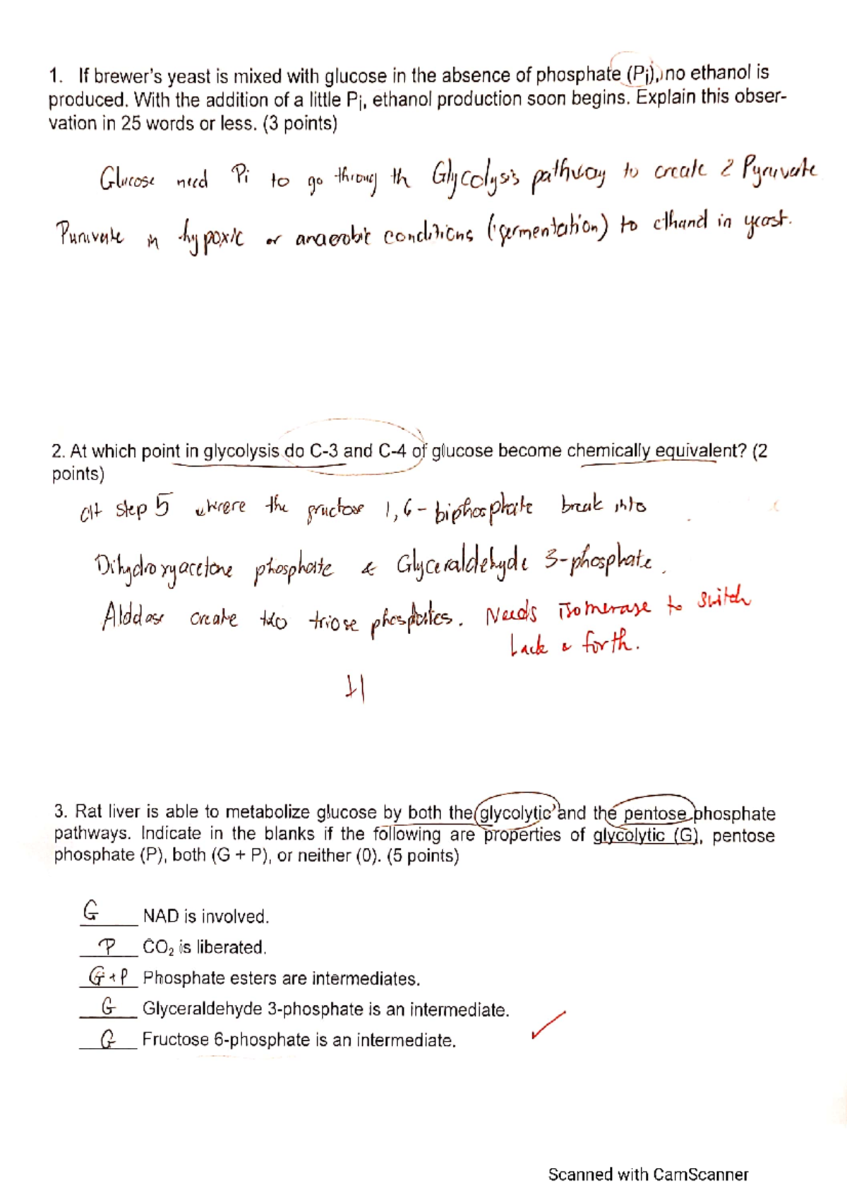 Quiz 3 - Biochem II quiz 3 - BIOS 454 - Studocu