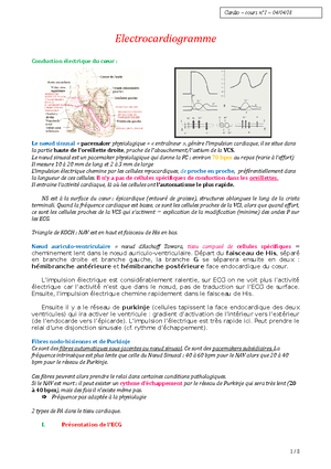 Embryologie du système cardiaque - Appareil Circulatoire : Embryologie ...
