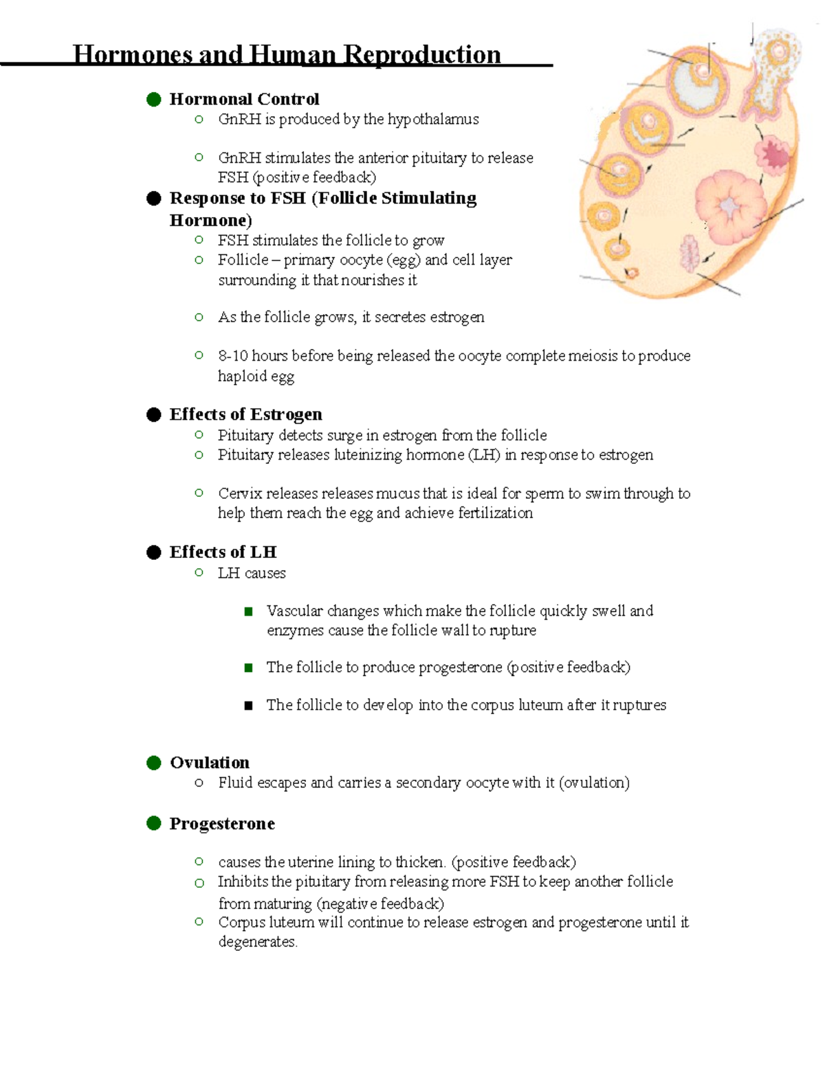 Human Reproduction - Hormones and Human Reproduction Hormonal Control o ...