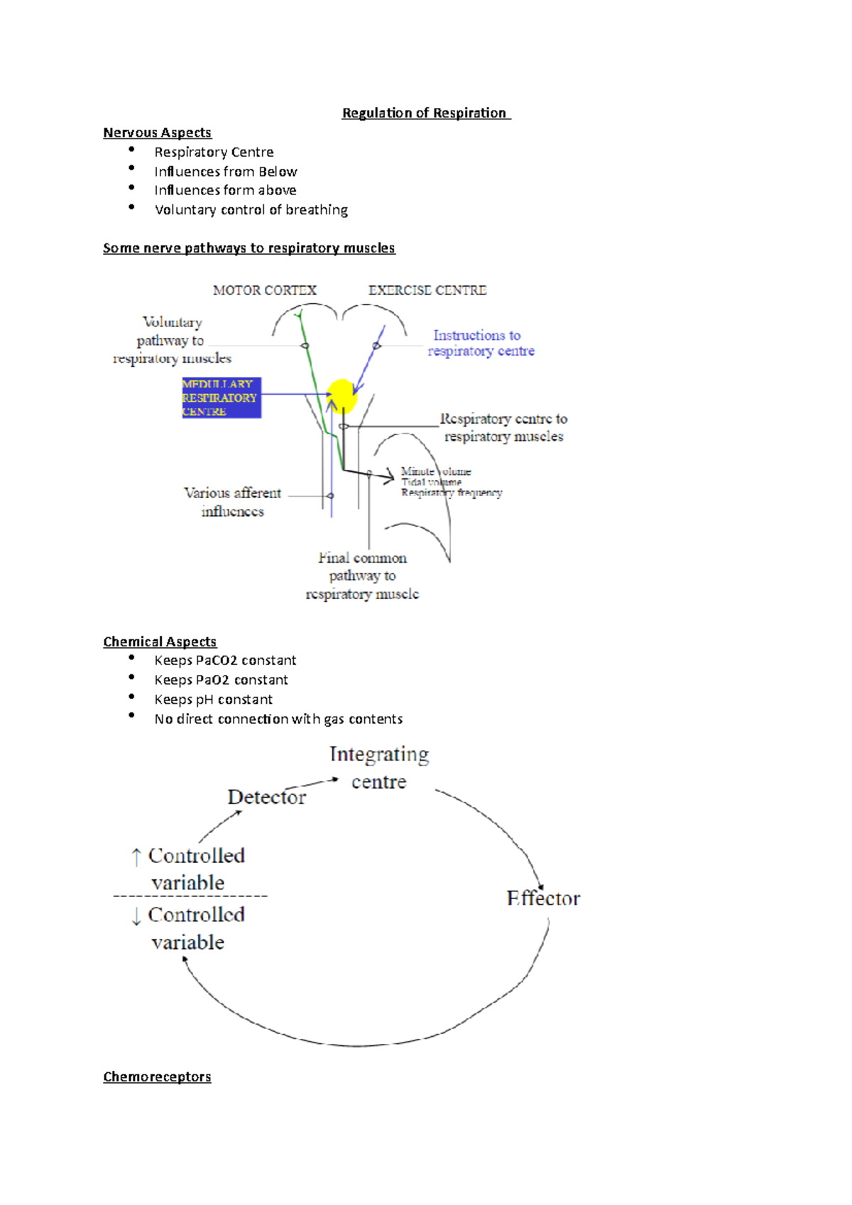 Regulation of Respiration - Regulation of Respiration Nervous Aspects ...