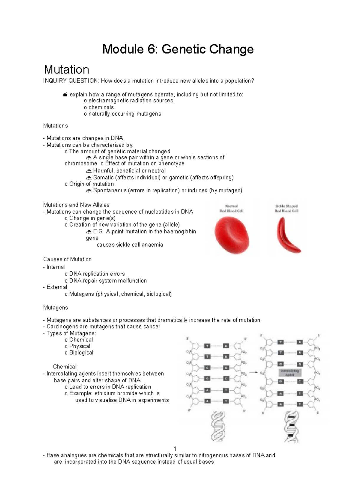 M6 - Genetic Change - bio notes - Module 6: Genetic Change Mutation ...