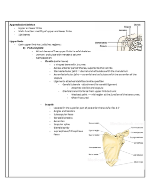 Human Anatomy Mock Exam Review Student Copy - Human Anatomy PASS Mock ...