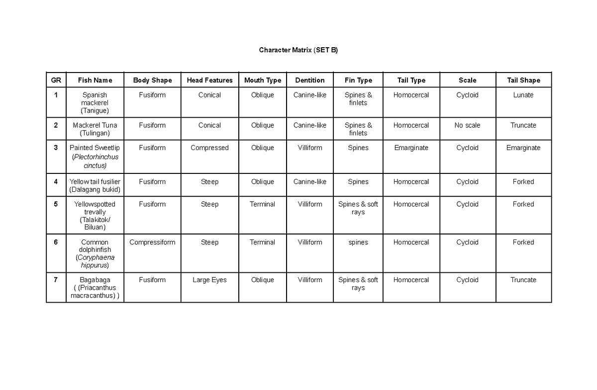 Character Matrix - Studocu