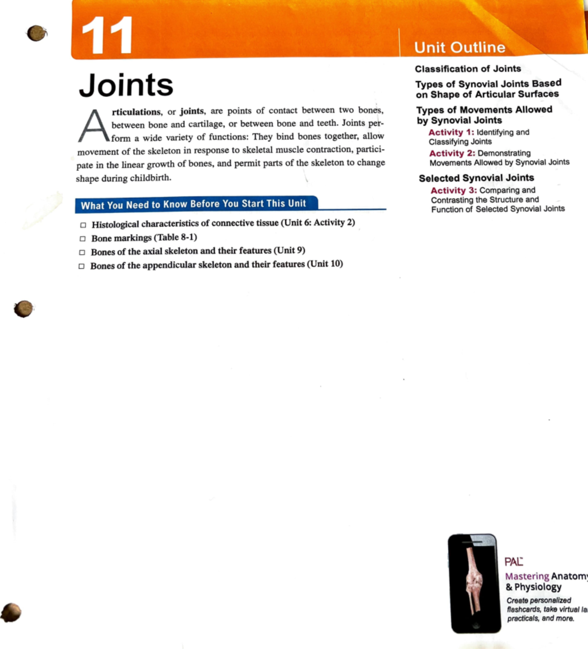 Unit 11 Joints Lab Manual - Joints A rticulations, or joints, are points of contact between two ...