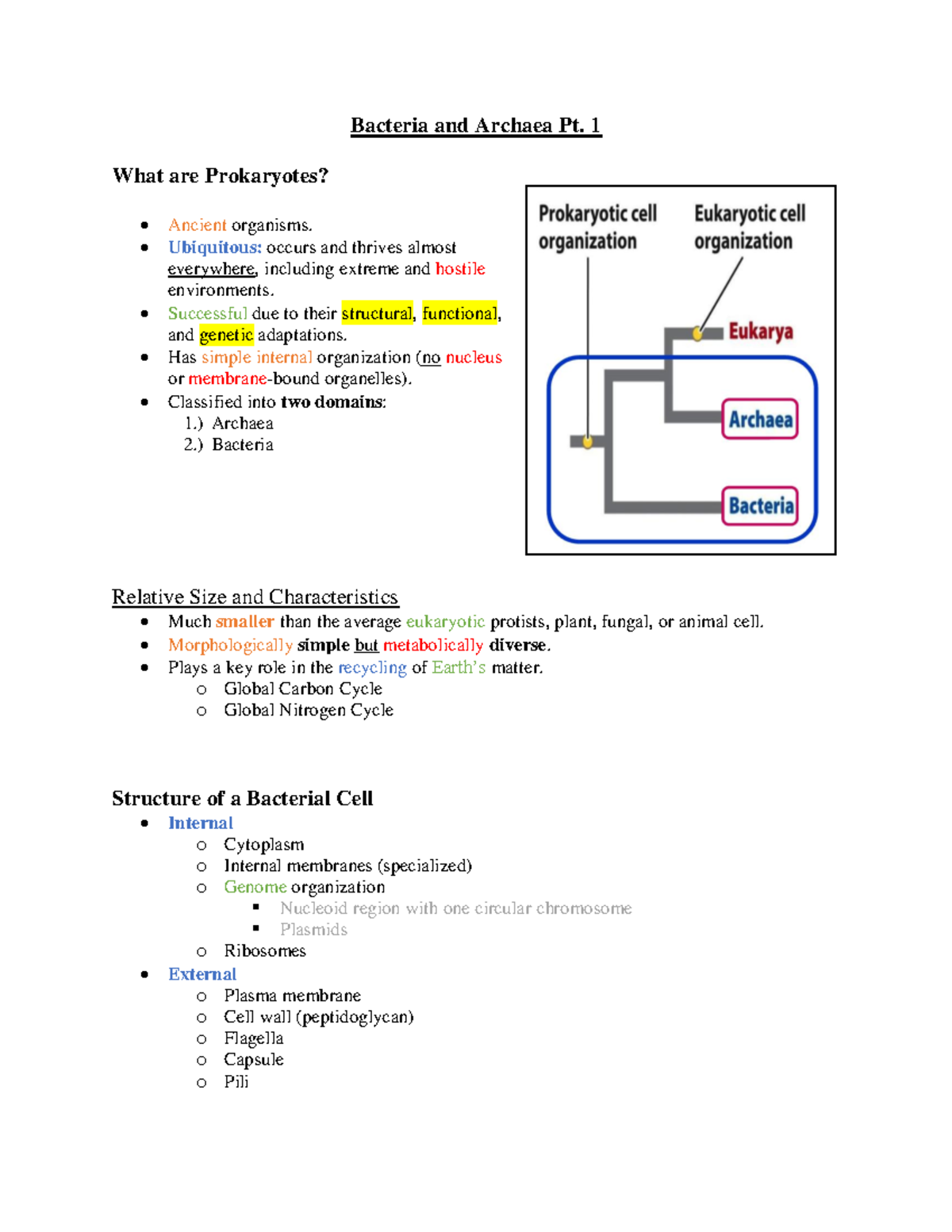 Bacteria and Archaea Pt. 1 - 1 What are Prokaryotes? Ancient organisms ...