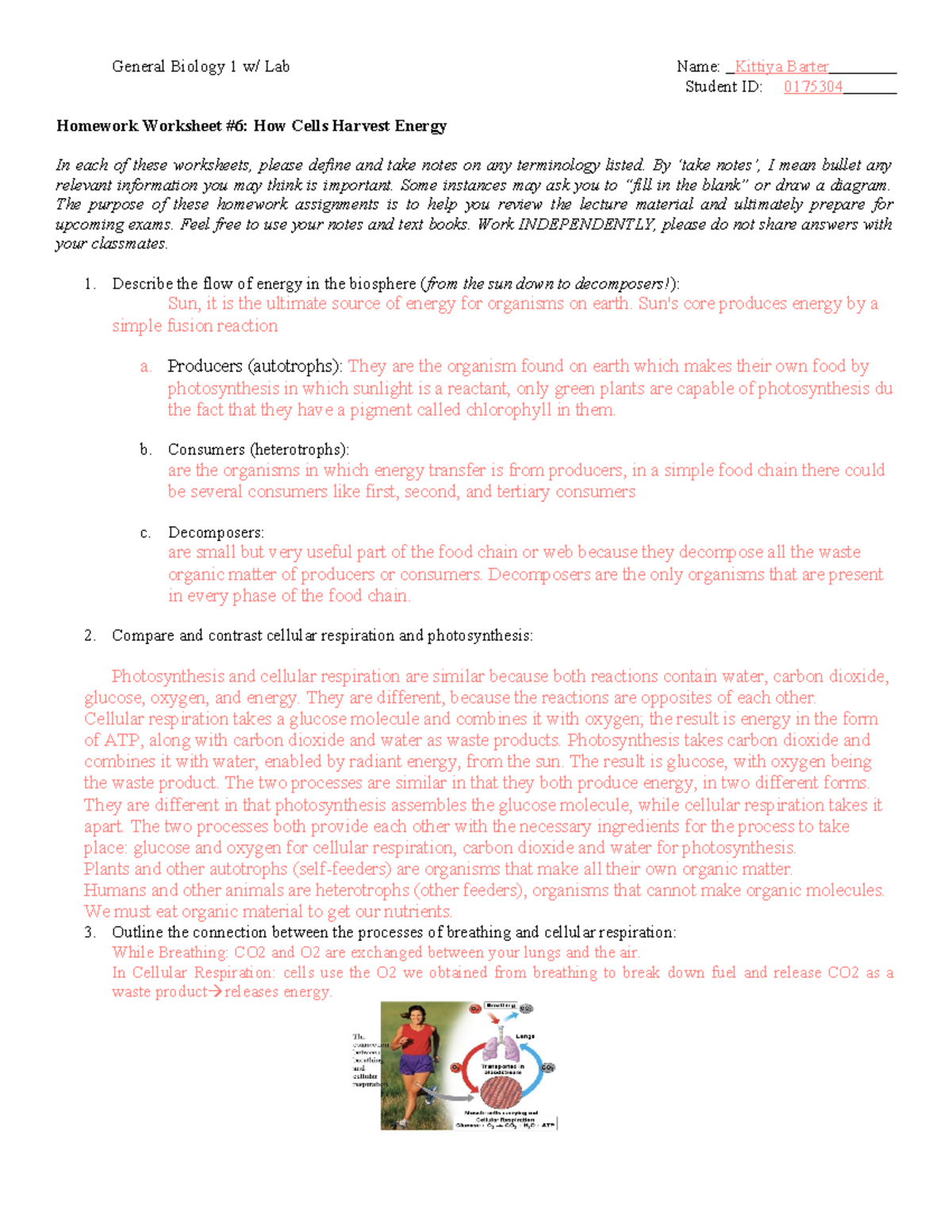 Online HW #6 - homework - General Biology 1 w/ Lab Name: Kittiya Barter ...