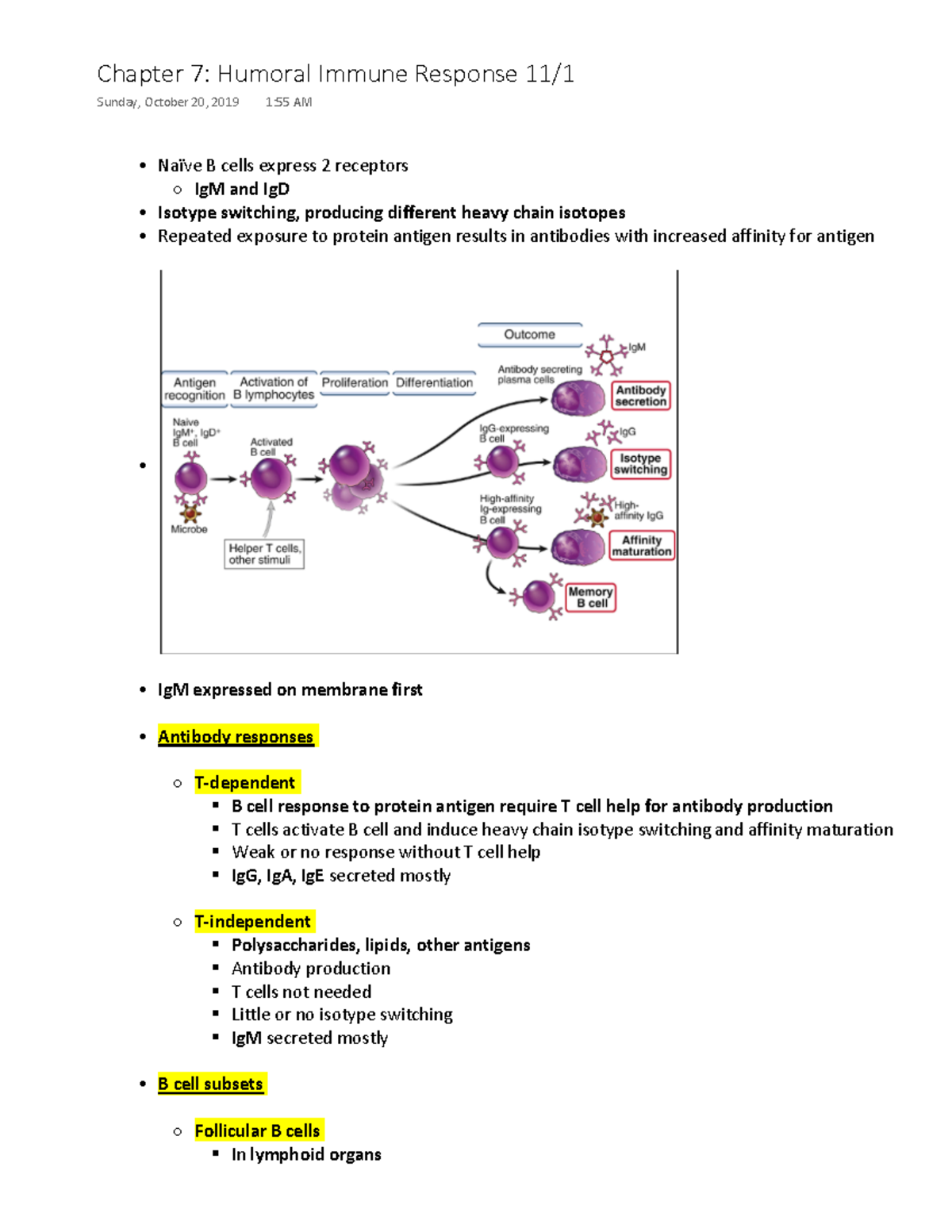 9- Humoral Immune Response - Warning: TT: undefined function: 32 EĂŢǀĞ ĐĞůůƐ ĞdžƉƌĞƐƐ Ϯ ...