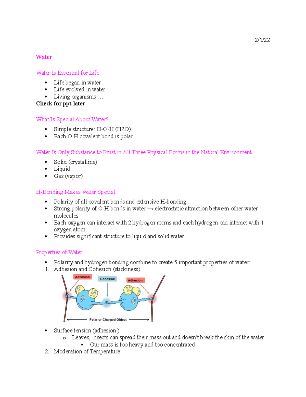 Properties of Water and its Importance for Life - Studocu